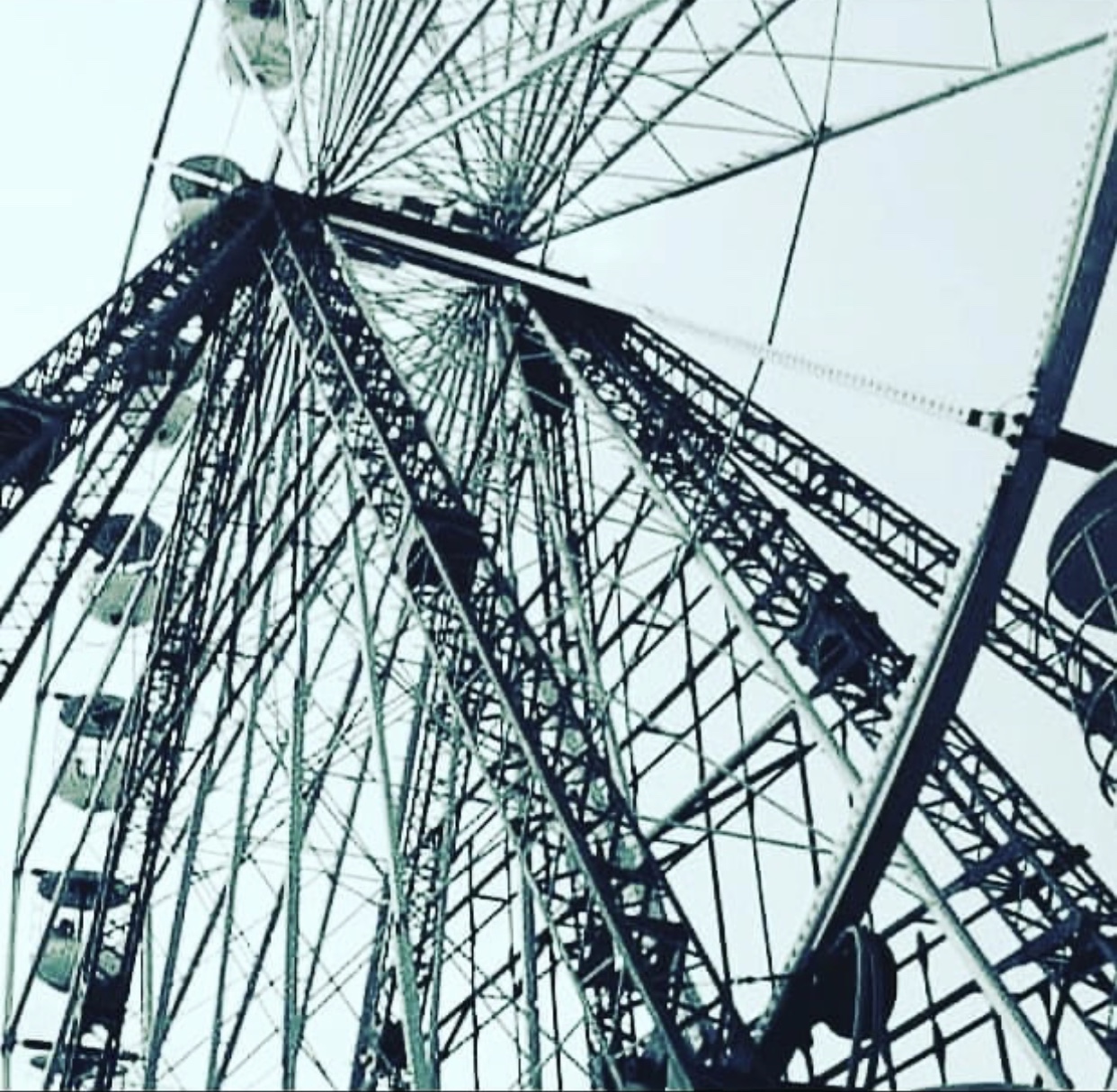 STUART WOLFENDEN – T H E S O N G B I R D