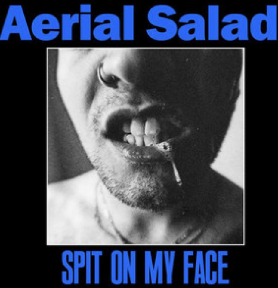 AERIAL SALAD – THE SONGBIRD