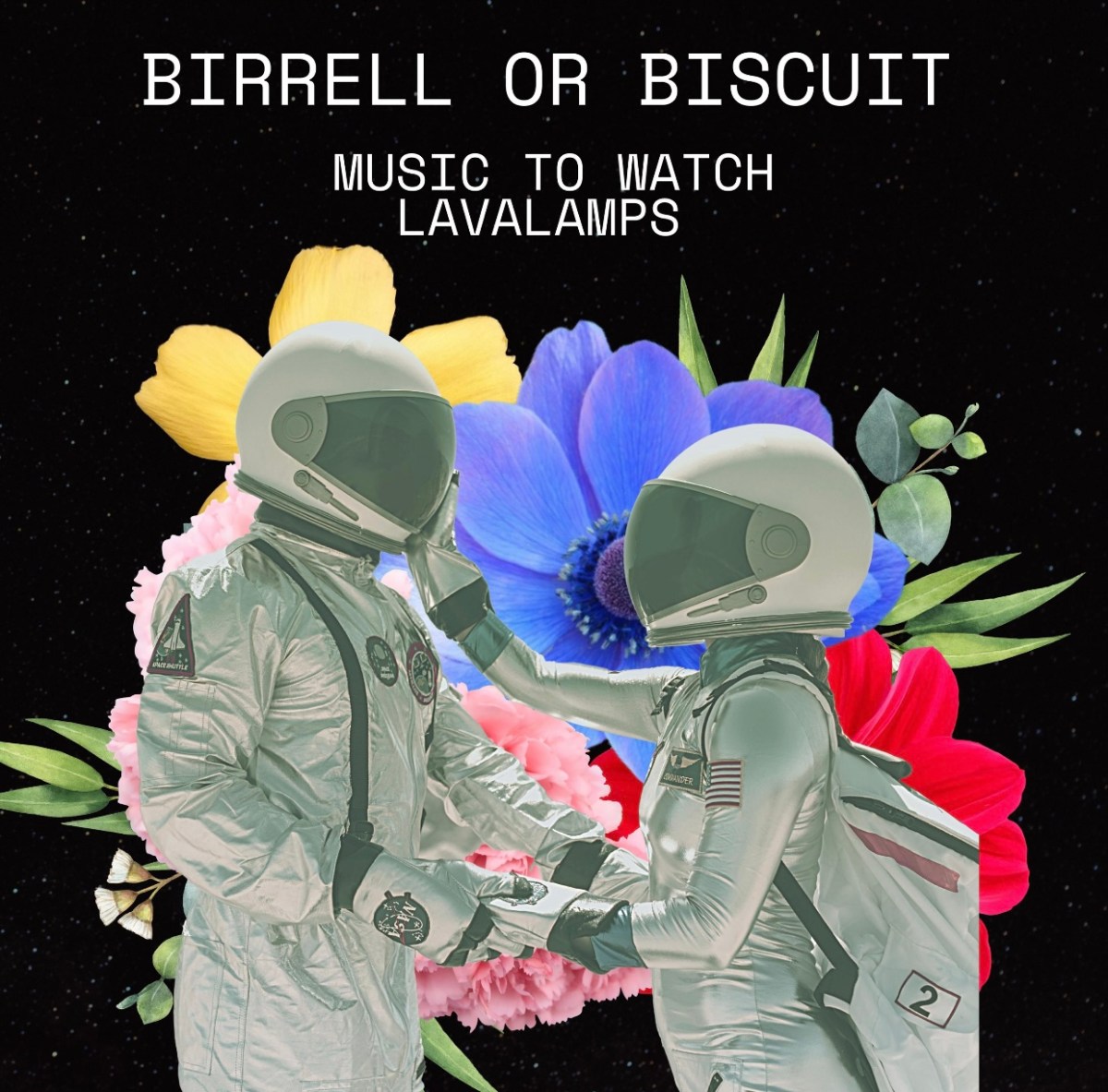 BIRREL OR BISCUIT – THE SONGBIRD