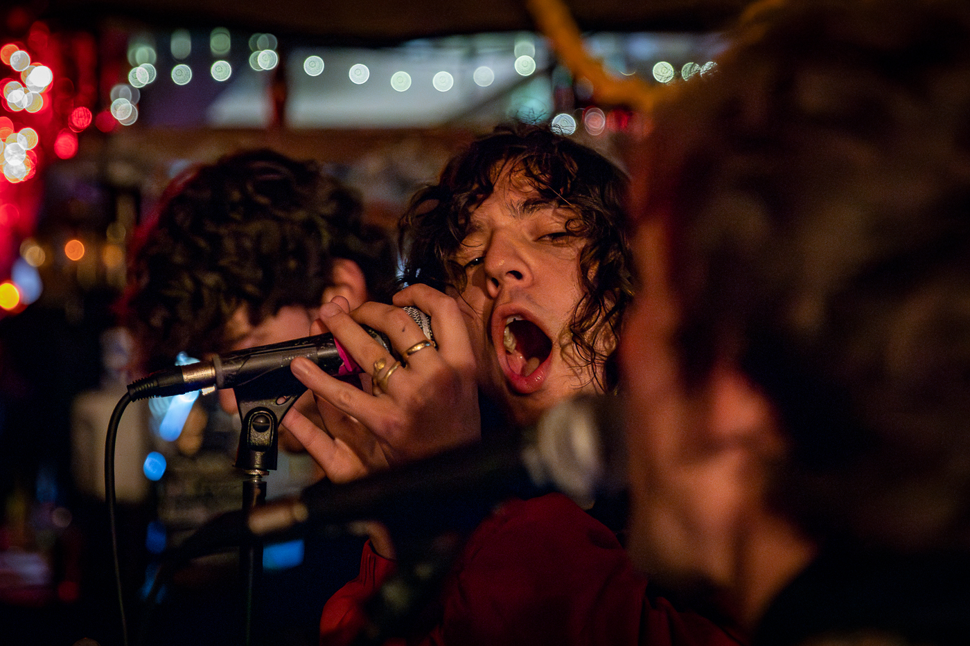 PASTEL – SOULS IN MOTION – ALBUM REVIEW – T H E S O N G B I R D