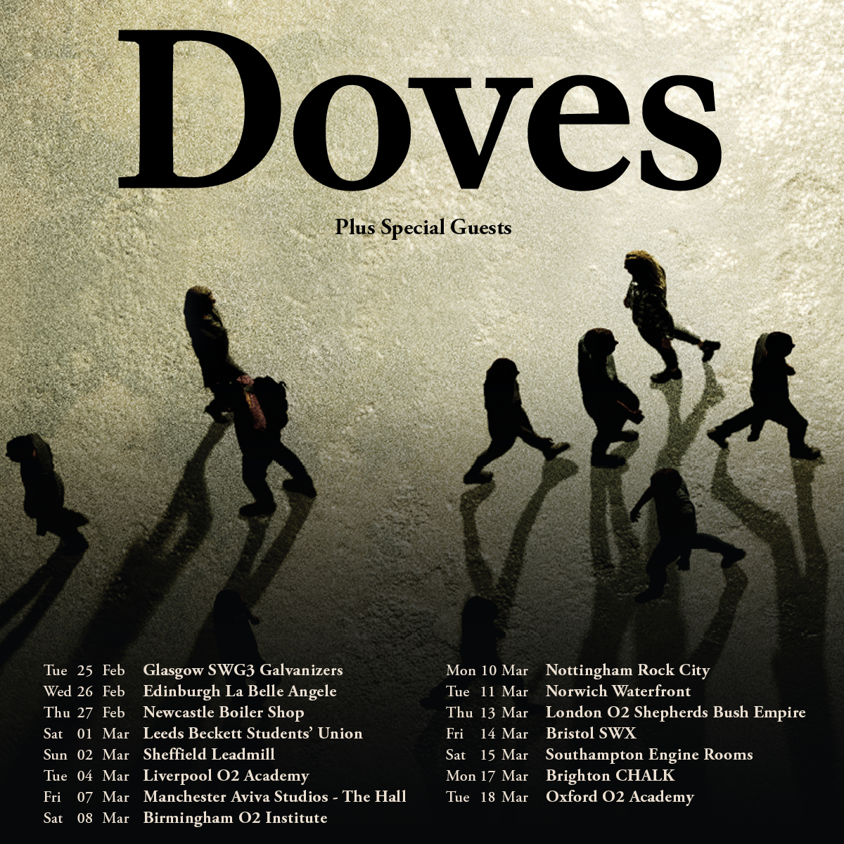 DOVES – NEW MUSIC – COLD DREAMING – T H E S O N G B I R D